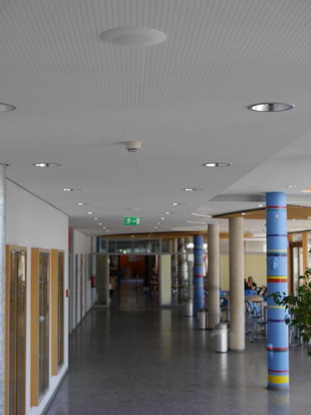 Vielfalt am Humboldt-Gymnasium Radeberg – Humboldt-Gymnasium Radeberg